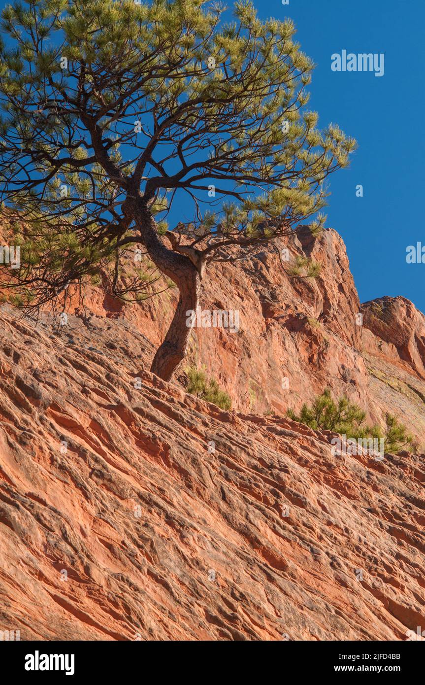 Sandstone rock formations in Red Rock Canyon, Colorado Springs, CO, USA ...