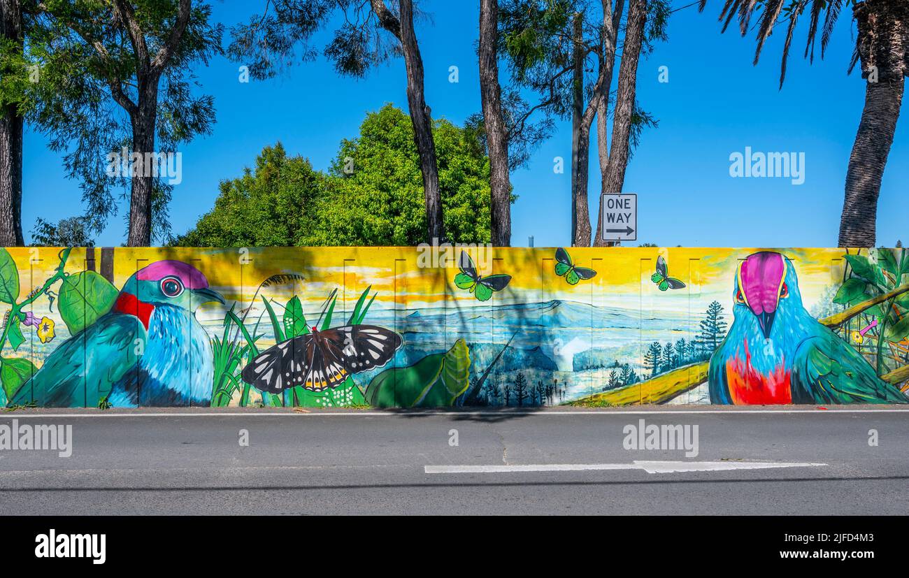 animal and bird mural on concrete flood protection wall in murwillumbah ...