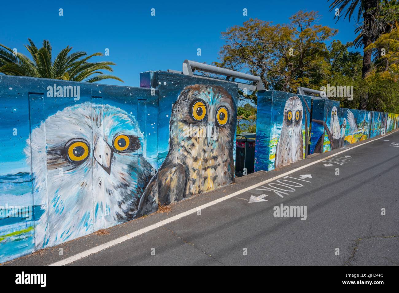 animal and bird and owl mural on concrete flood protection wall in ...