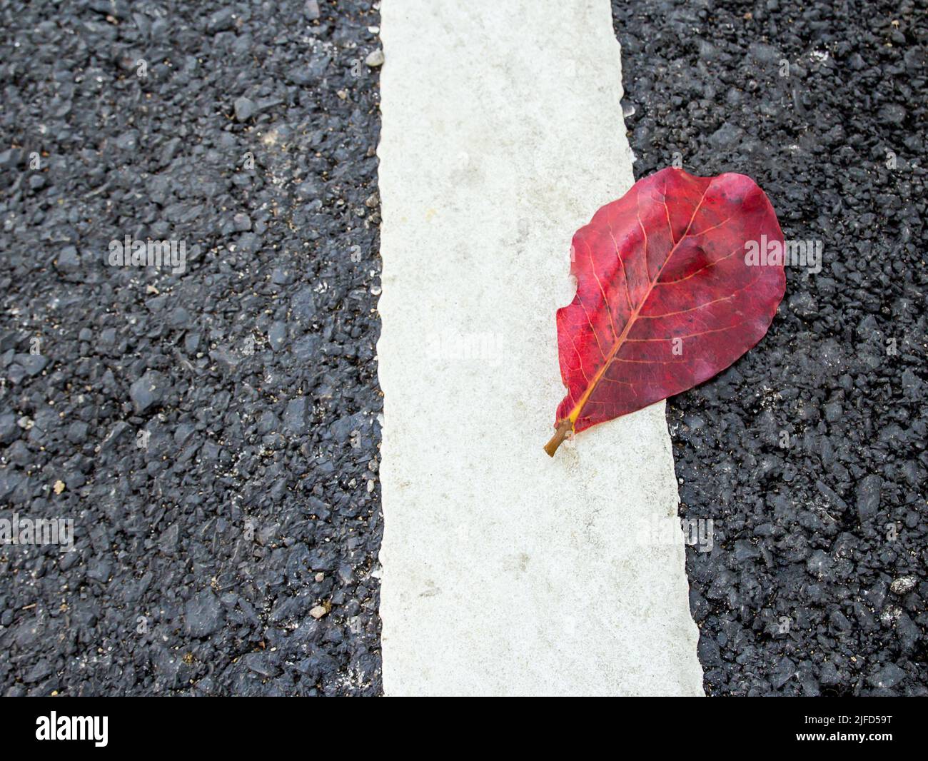 Close view wet asphalt road hi-res stock photography and images - Alamy