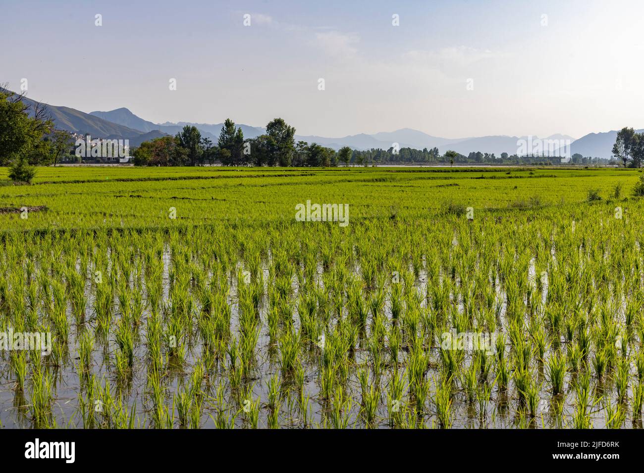 Beautiful crop fields hi-res stock photography and images - Alamy