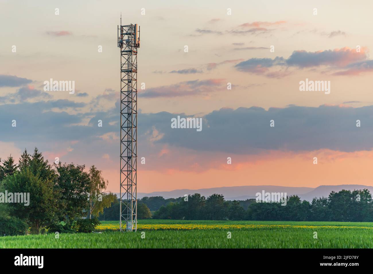 Telecom antenna in countryside in summer at sunset. Alsace, France ...