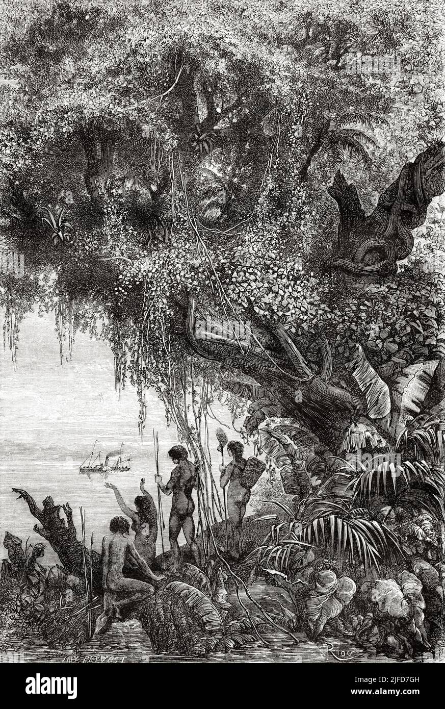 Indigenous natives observing a steam boat navigating the Amazon river ...