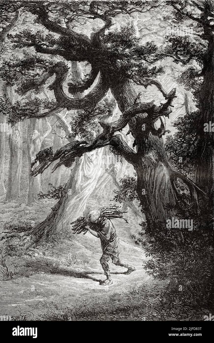 Ancient cedar legend hi-res stock photography and images - Alamy