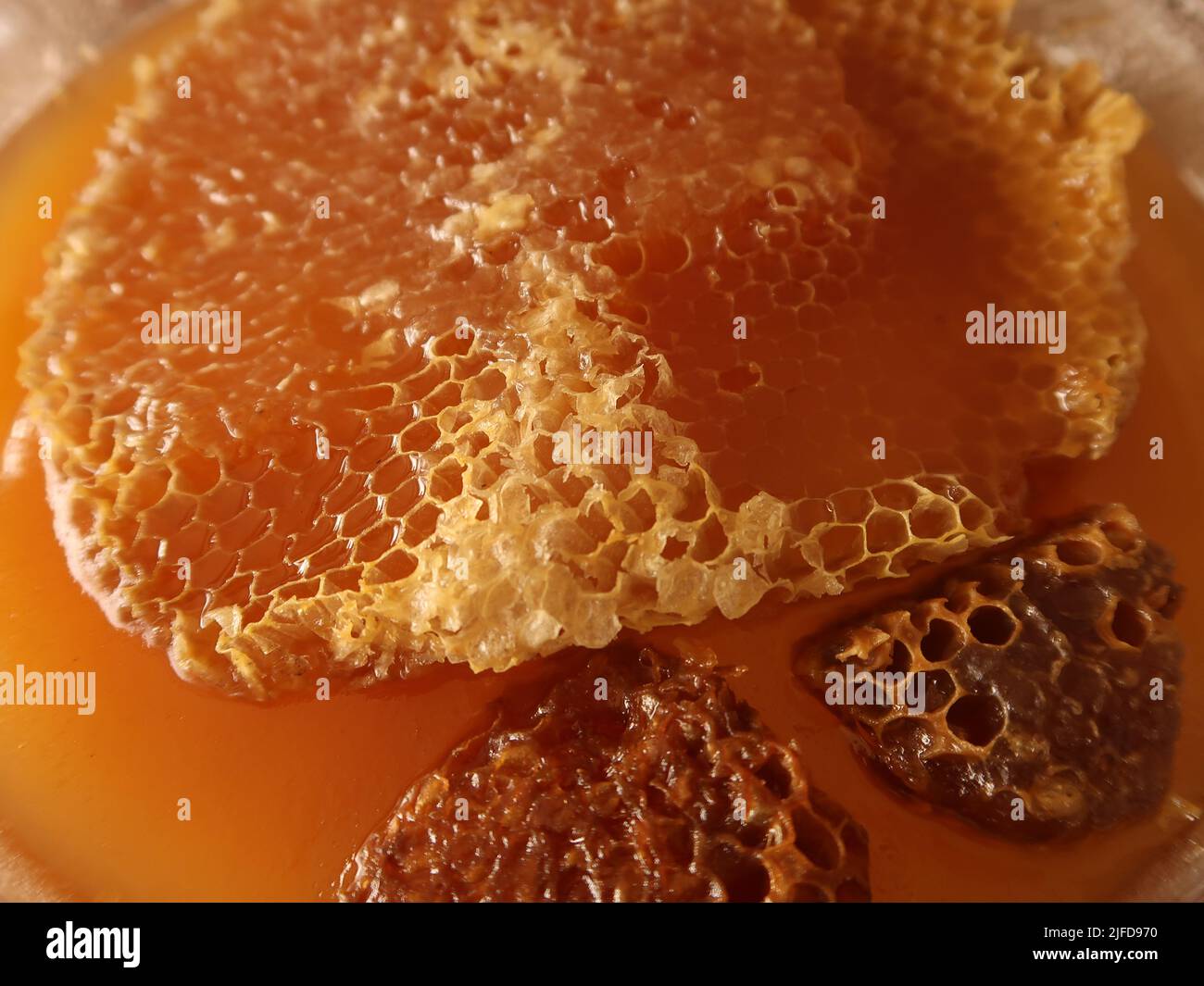 Honeycombs of wild bees hi-res stock photography and images - Alamy