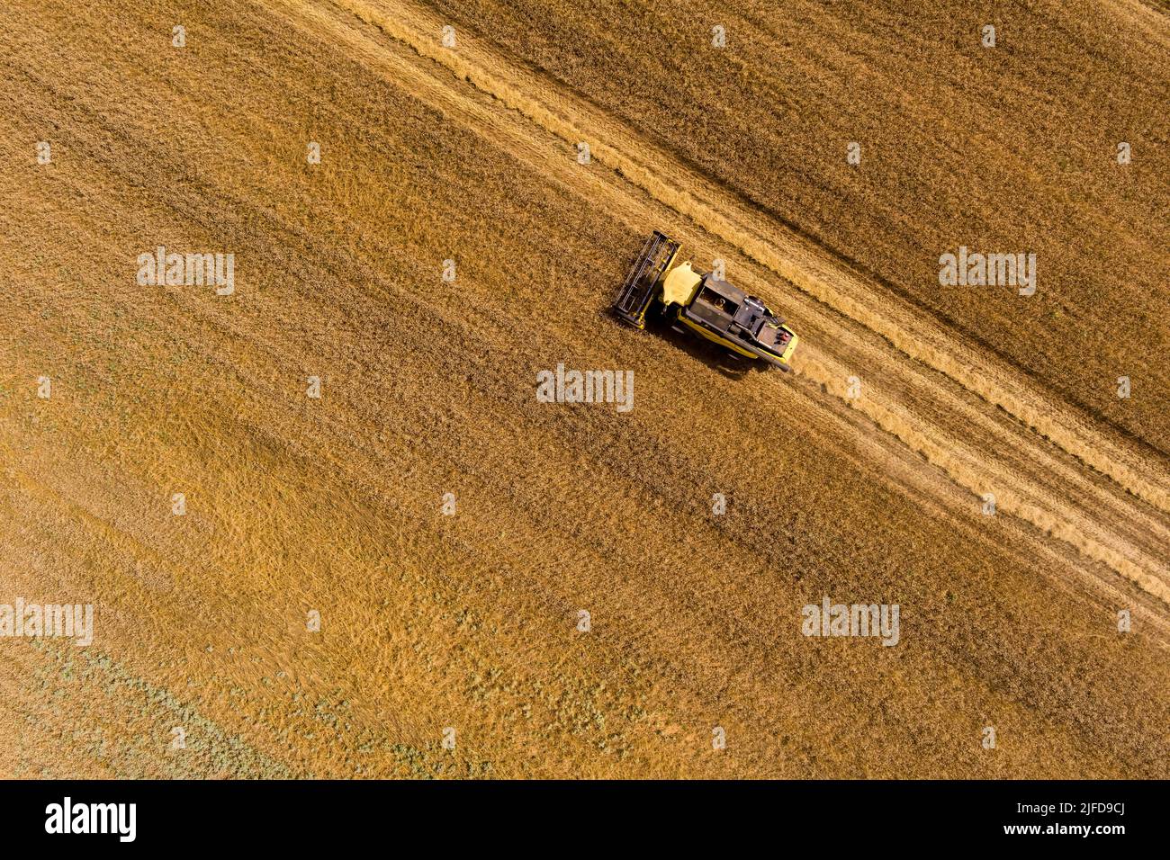 Aerial wheat field growing in hi-res stock photography and images - Alamy