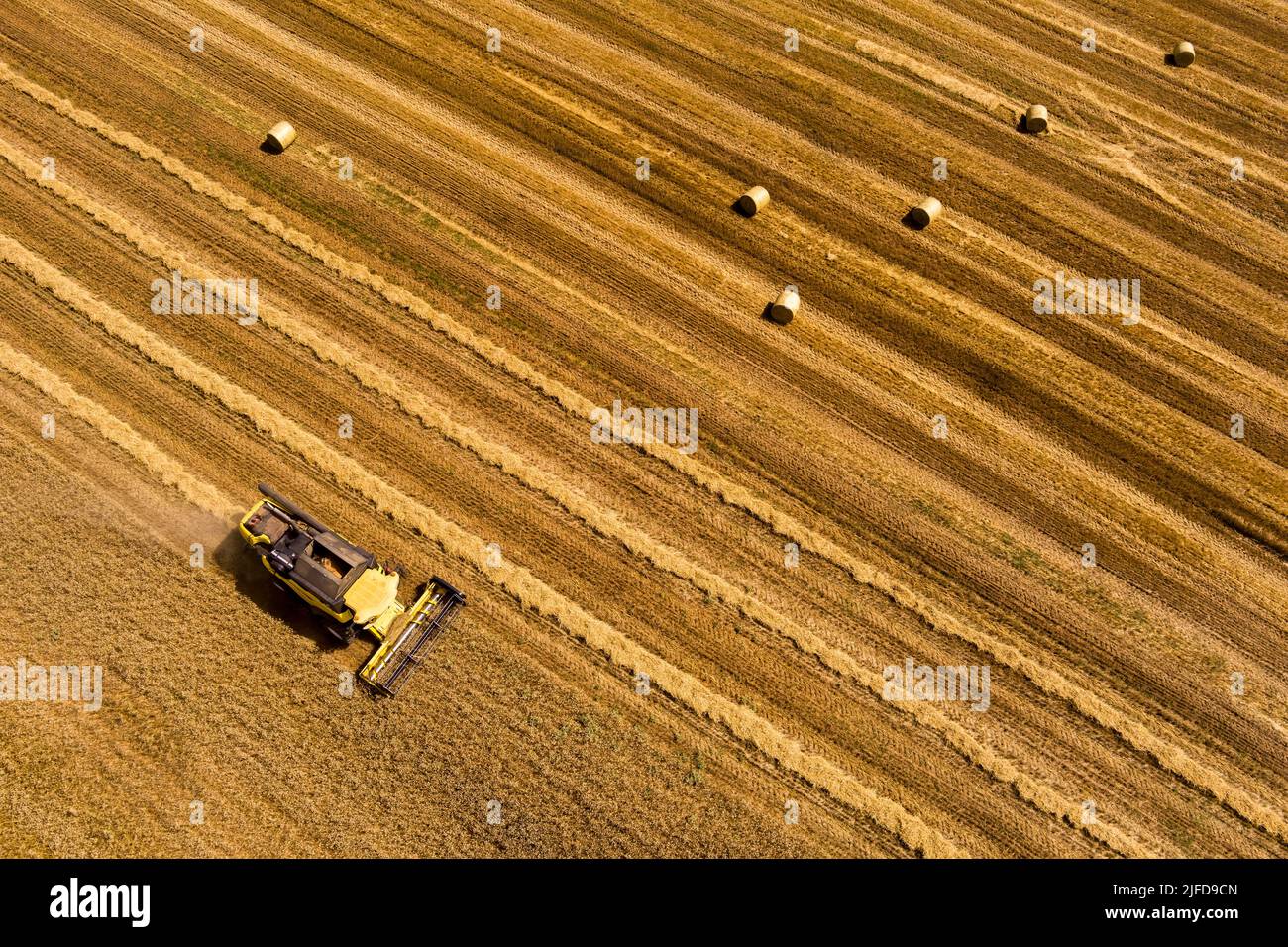Harvester machine to harvest wheat field working. Combine harvester ...
