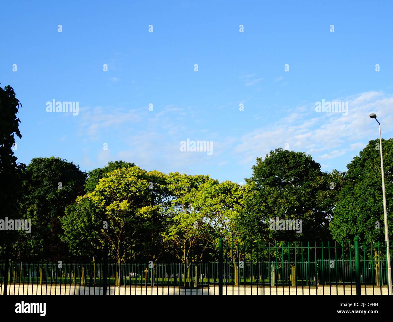 A pathway on the road side with the shade of trees Stock Photo - Alamy