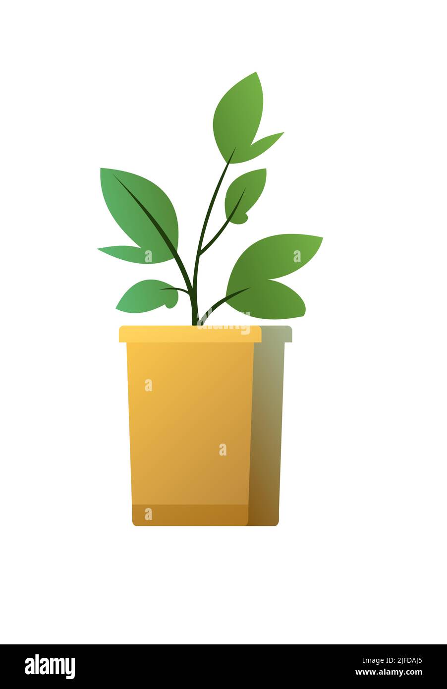 Root in box. Seedling garden plants. Sowing agricultural material ...