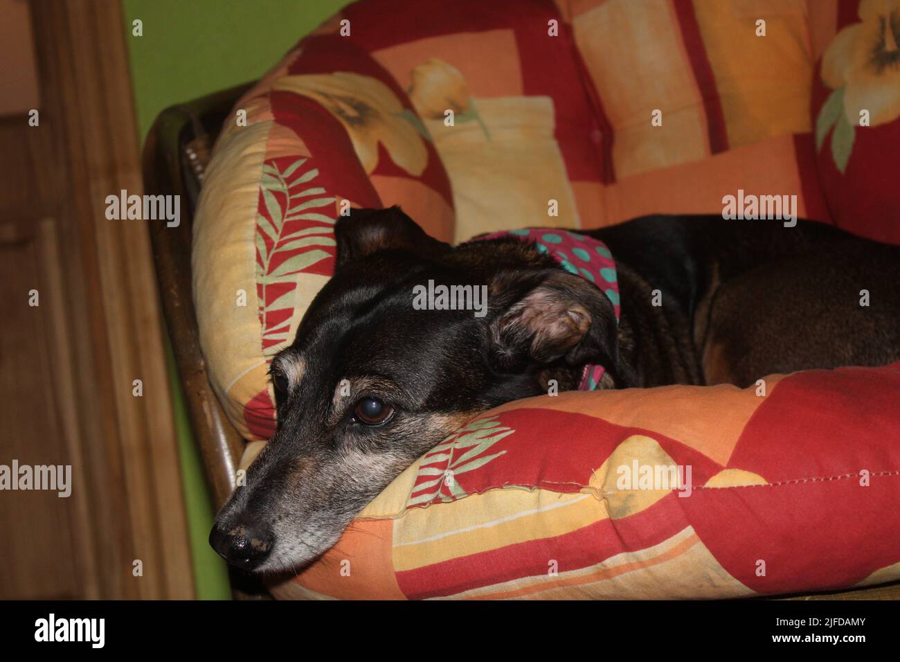 The beautiful nature of Latvia Stock Photo - Alamy