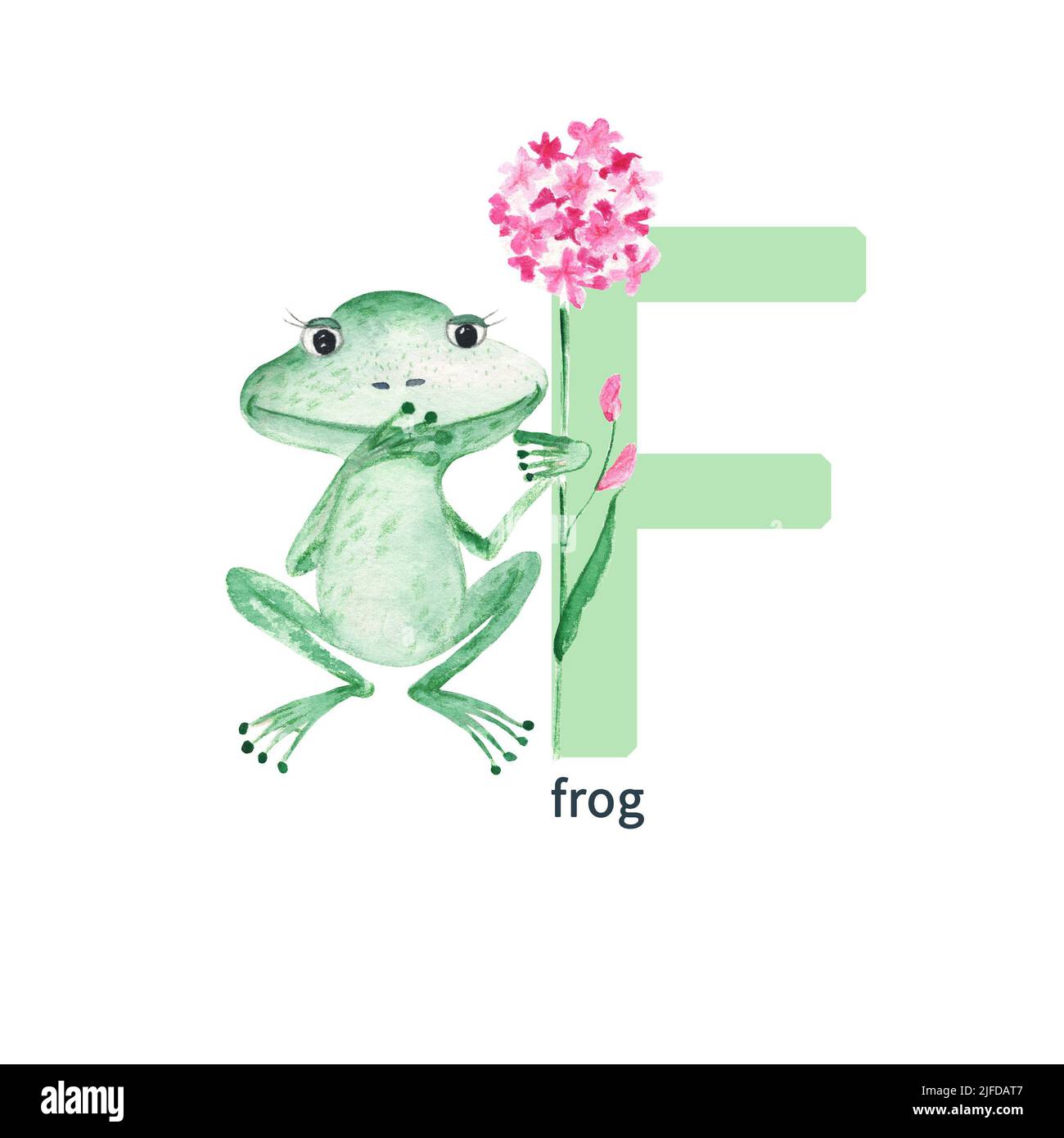 Letter F, frog, cute kids colorful animals ABC alphabet. Watercolor ...