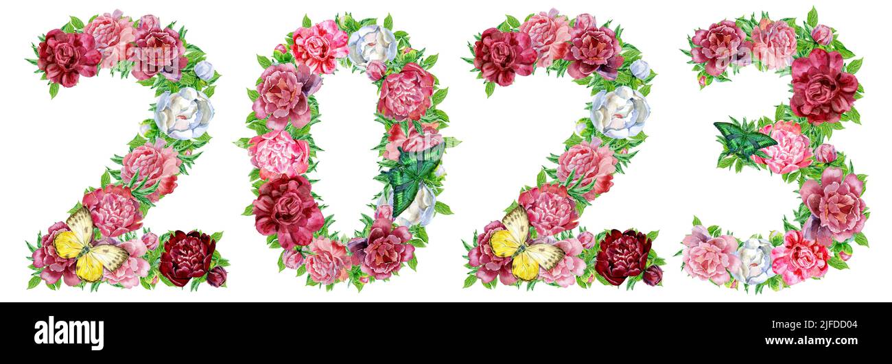 Number 2023 of watercolor flowers, isolated hand drawn on a white ...