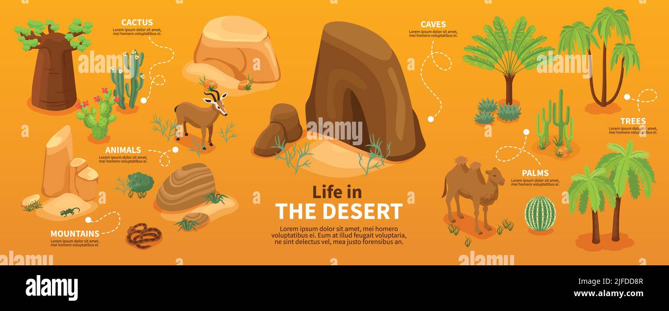 Life in desert isometric infographics with green trees and plants ...