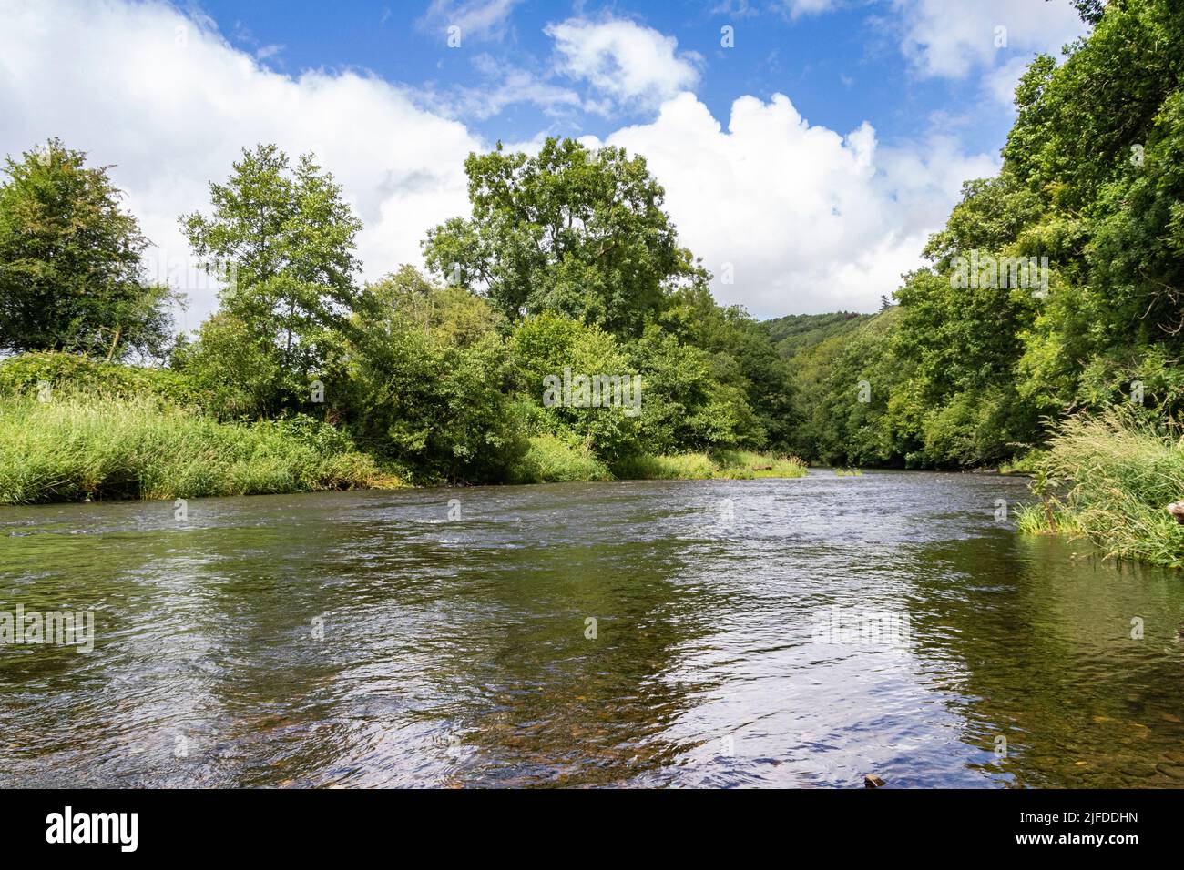 River Torridge: Summer View Looking Down River Towards Rolle and ...