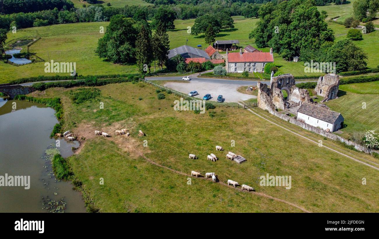 Aerial view of the ruins of Kirkham Priory in the Ryedale District of ...