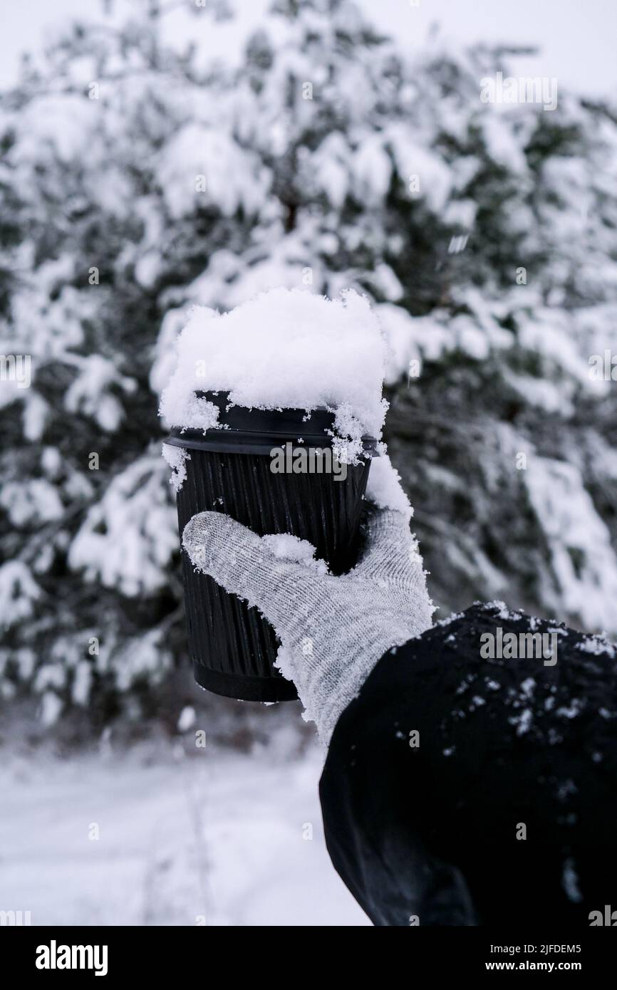 Female hand in winter warm gloves holding black eco paper cup. Winter ...