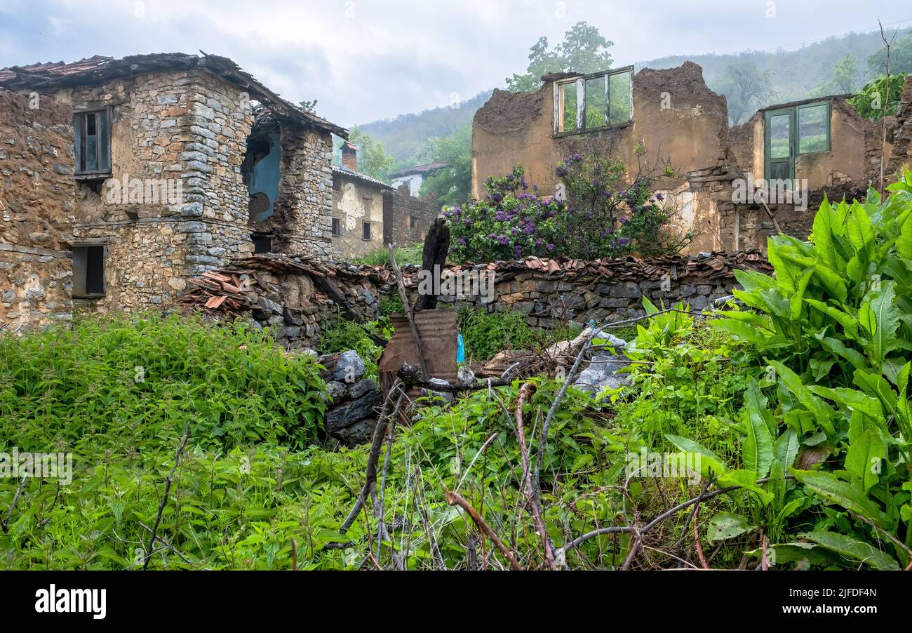 old destroyed stone buildings in green garden in abandoned village in ...
