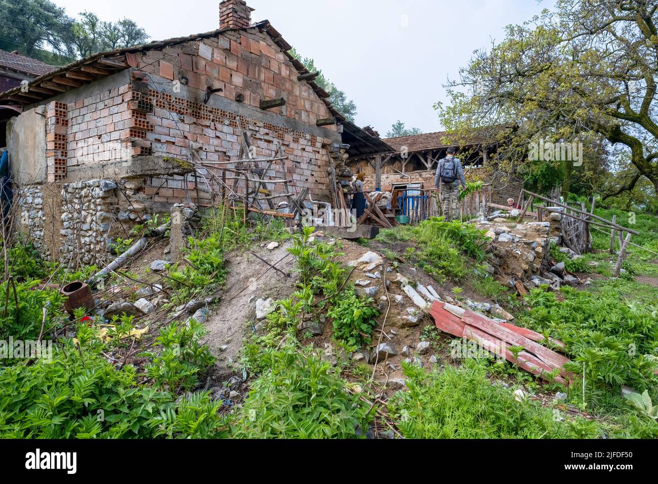 people visi old destroyed stone buildings in green garden in empty ...