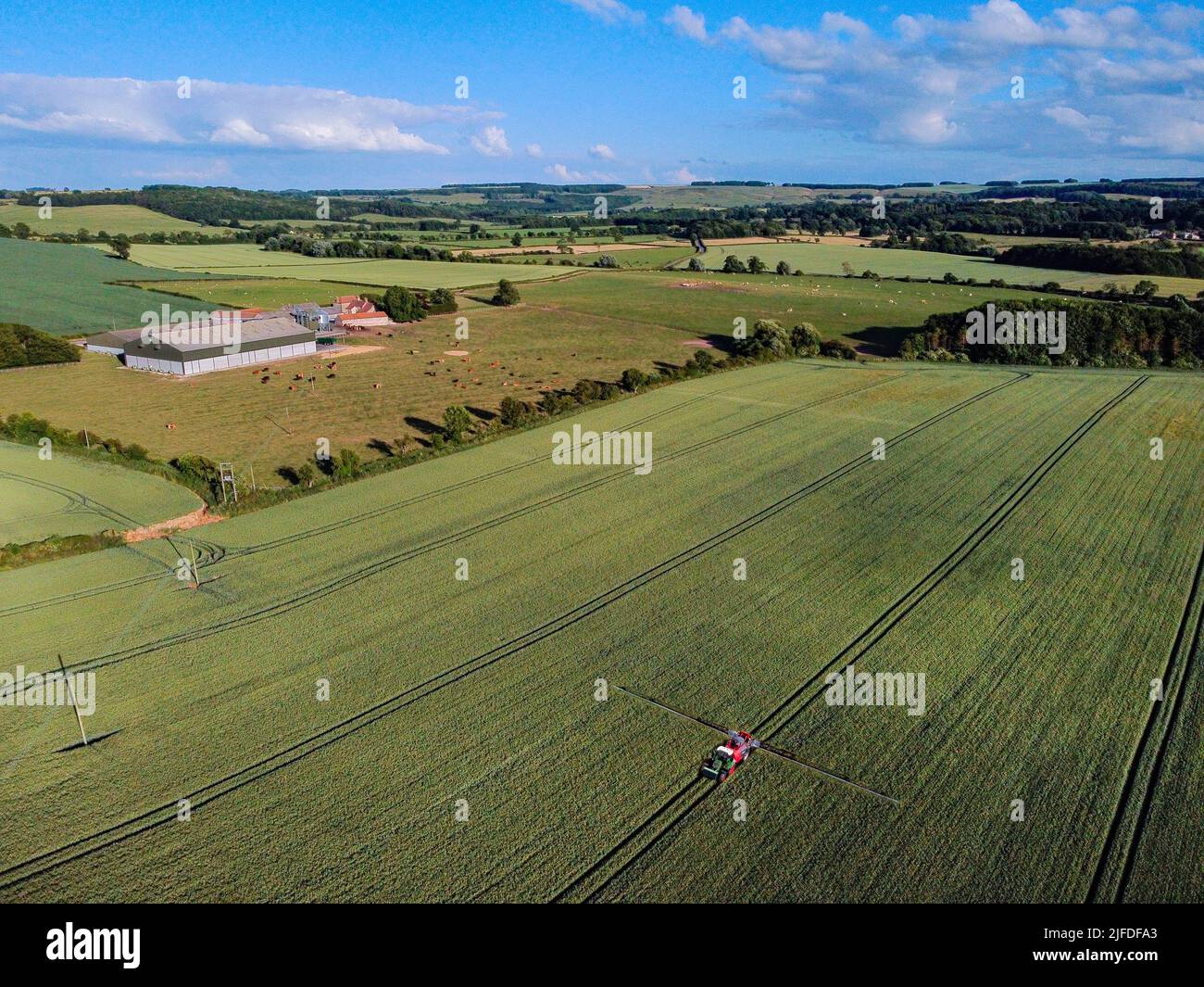 Aerial view of a farmers 'tramlines' in a field of corn in the North ...