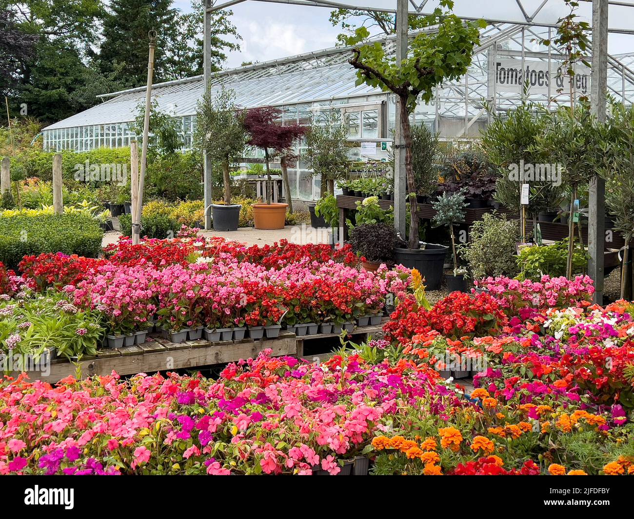 Colorful floral display at a garden center in the United Kingdom Stock ...