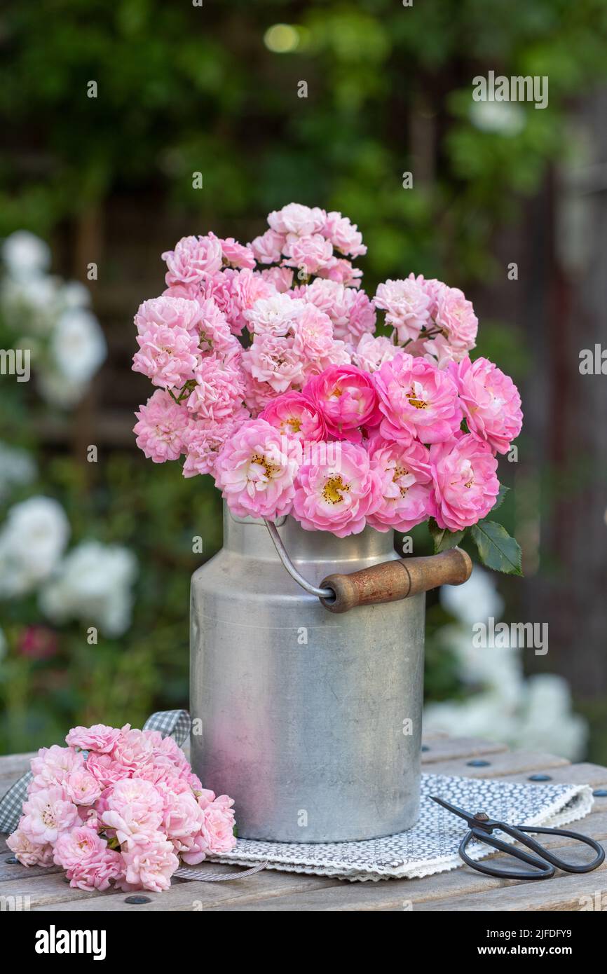 bouquet of pink roses in vintage milk can Stock Photo - Alamy