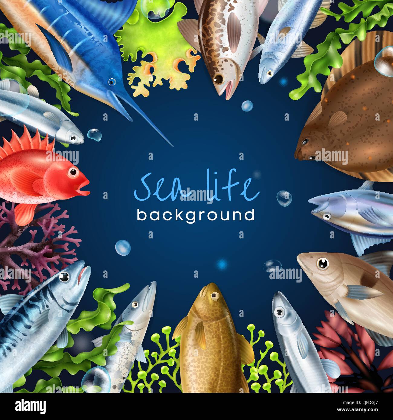 Sea fish realistic frame with different fish types symbols vector ...