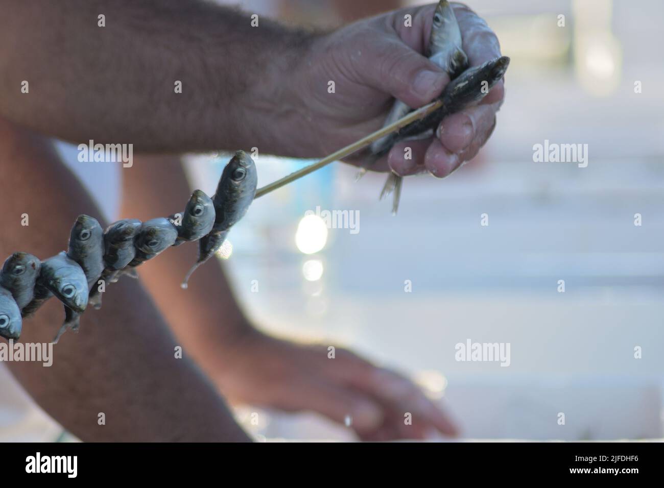 Skewering sardines espeto. Sardines espetos, typical spanish food Stock ...