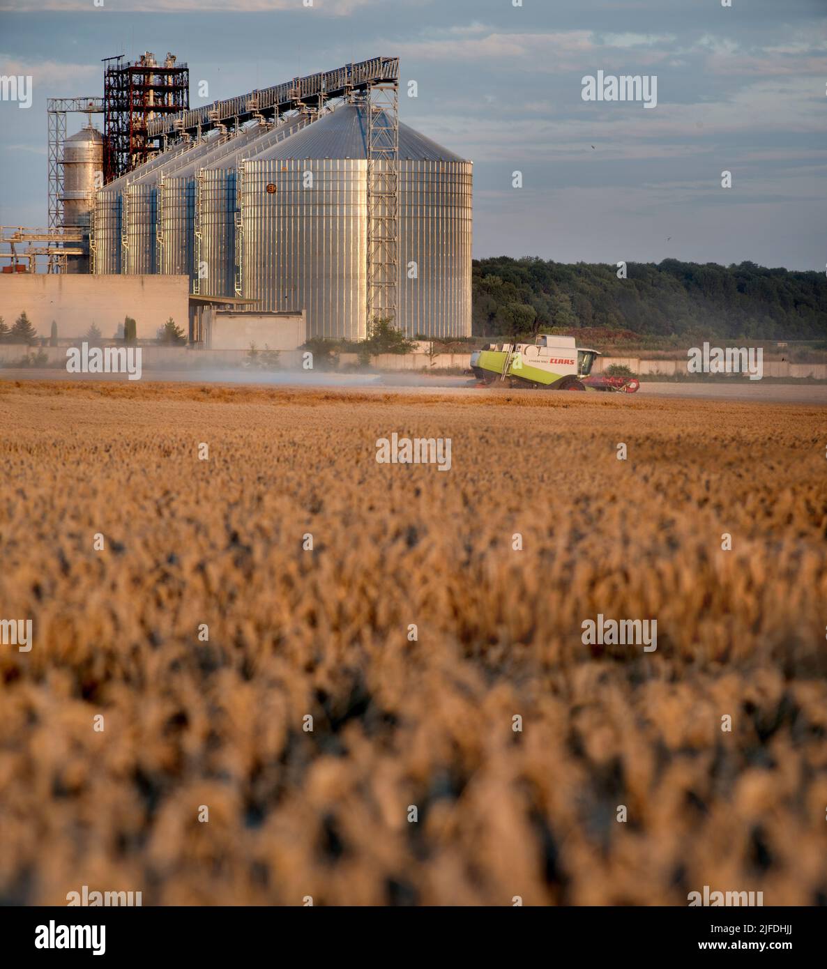 large grain storage tanks and wheat field and combine harvester ...