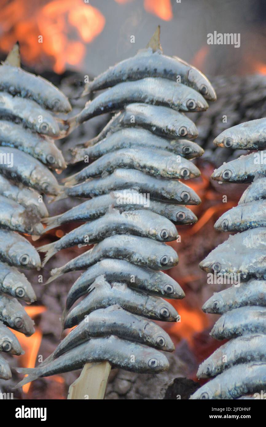 Sardines espetos grilled at fire, typical spanish food Stock Photo - Alamy