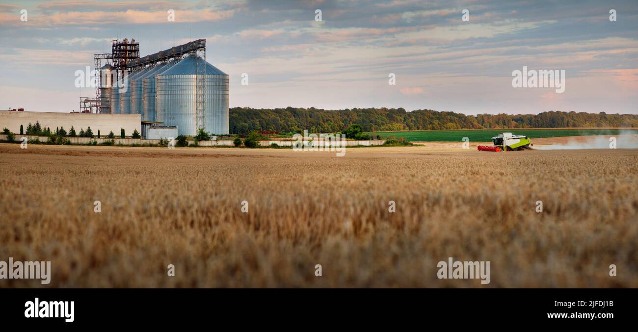 Large grain storage tanks near wheat field and combine harvester ...