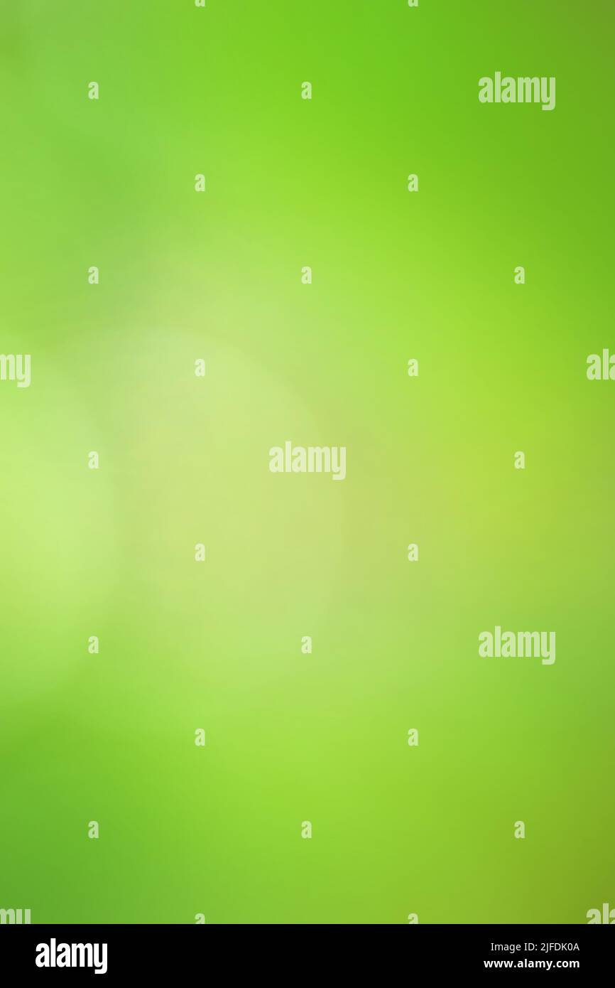 Green bokeh out of focus background. Green olive blur abstract ...