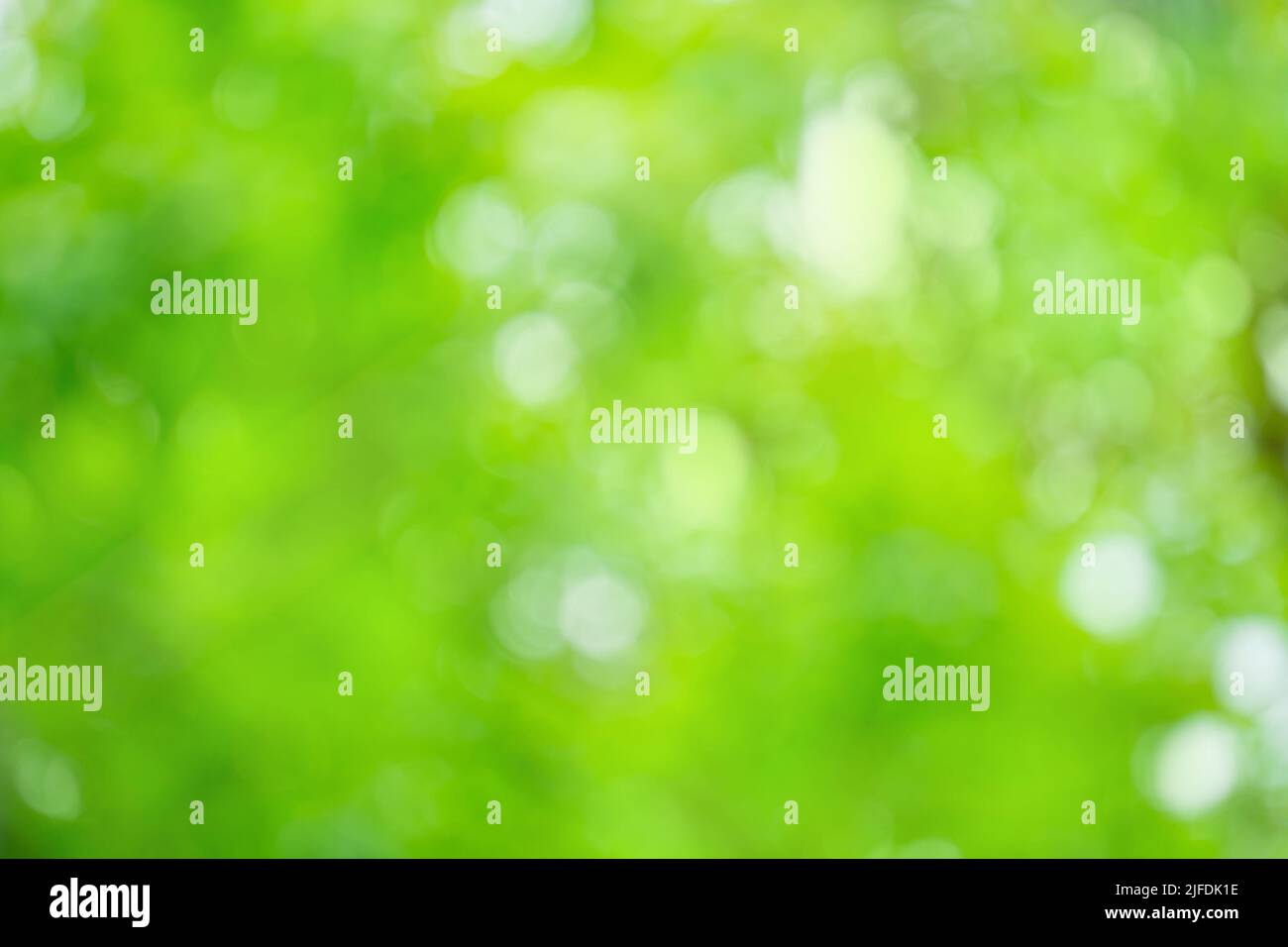 Bokeh green neutral lights on texture. Bokeh neutral green abstract ...