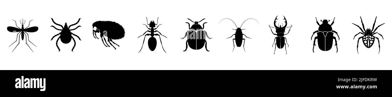 Insect icons set. Silhouettes of various insect isolated on white ...