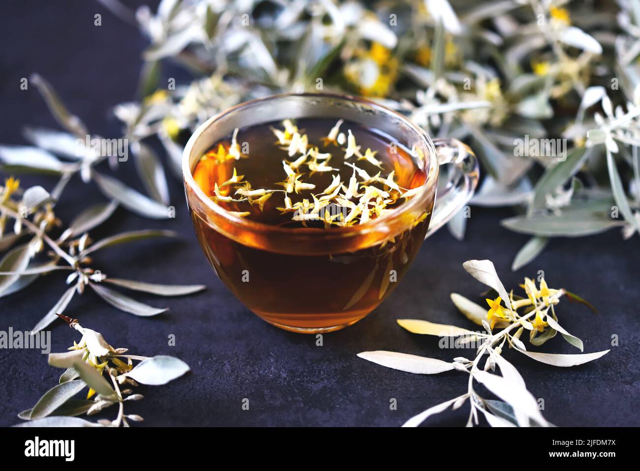 sea buckthorn tea. Sea buckthorn branches Stock Photo - Alamy