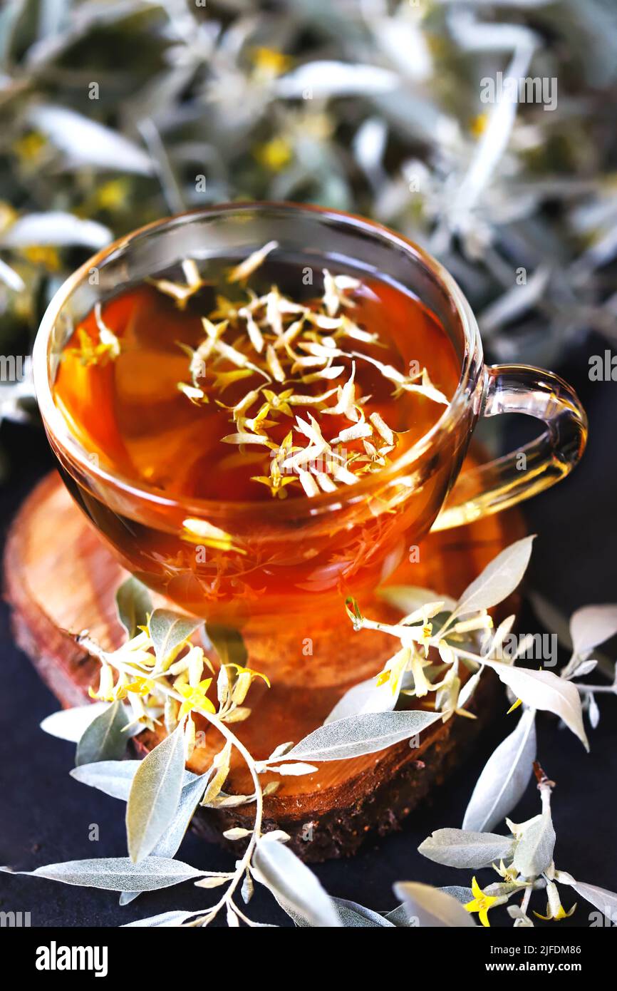 sea buckthorn tea. Sea buckthorn branches Stock Photo - Alamy