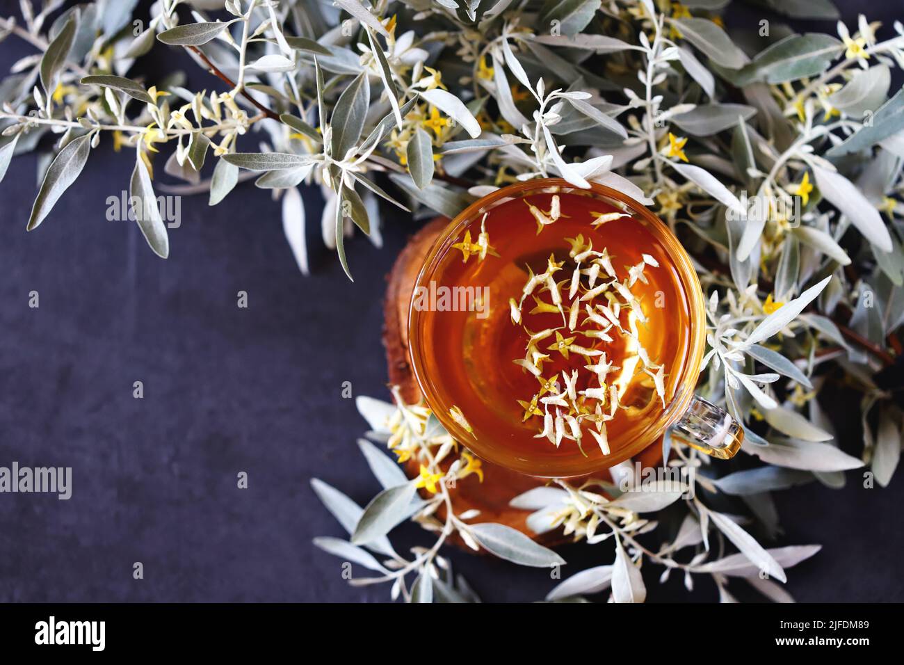 sea buckthorn tea. Sea buckthorn branches Stock Photo - Alamy