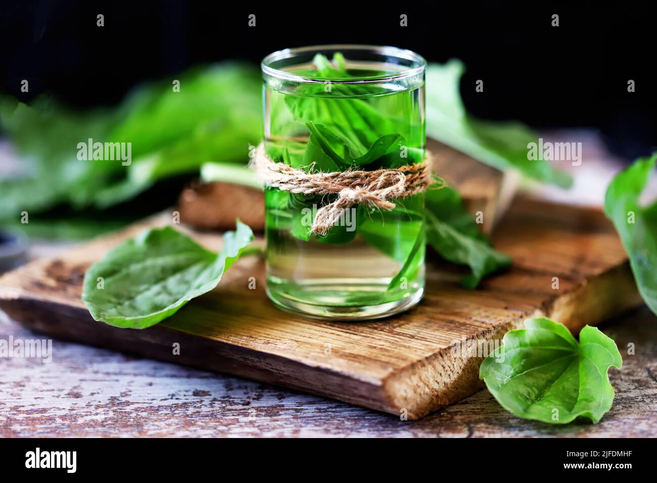 Plantain drink in a glass. Fresh leaves of plantain. Therapeutic tea of ...