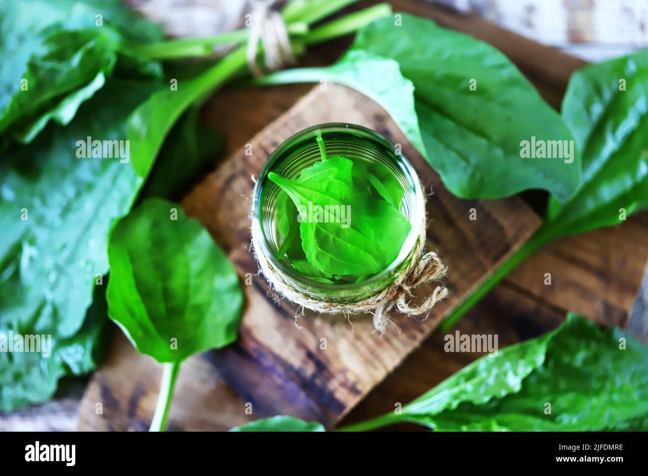 Plantain drink in a glass. Fresh leaves of plantain. Therapeutic tea of ...
