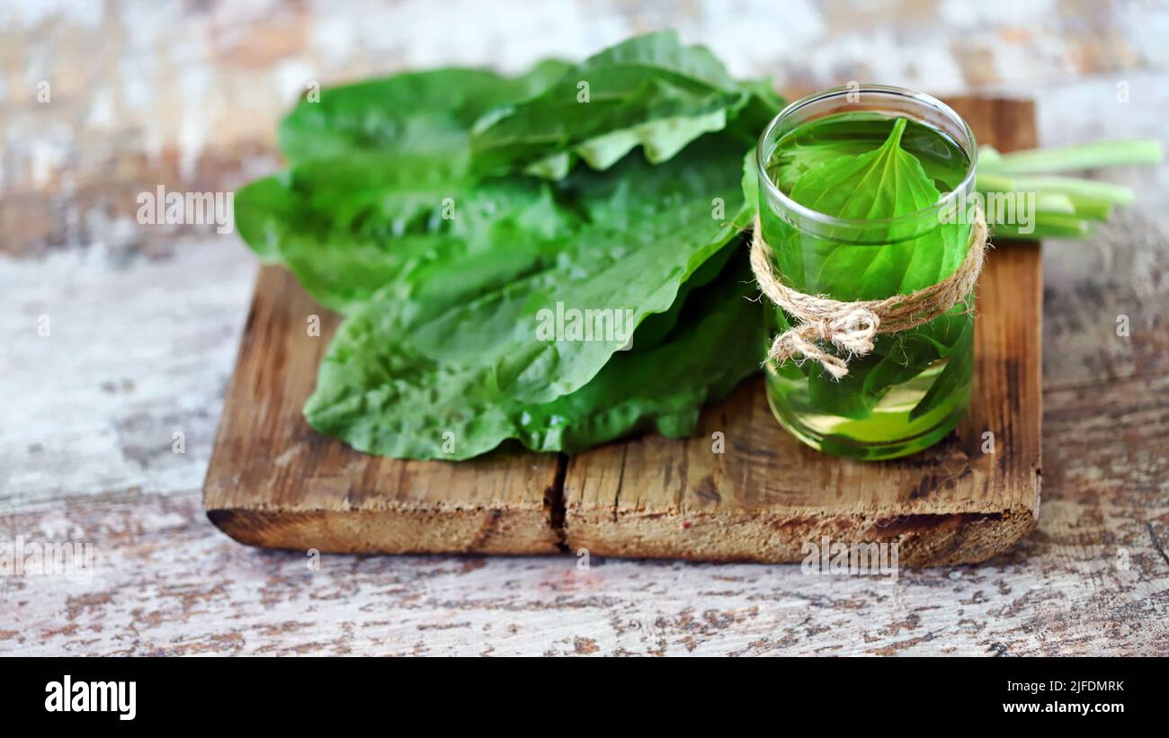 Plantain drink in a glass. Fresh leaves of plantain. Therapeutic tea of ...