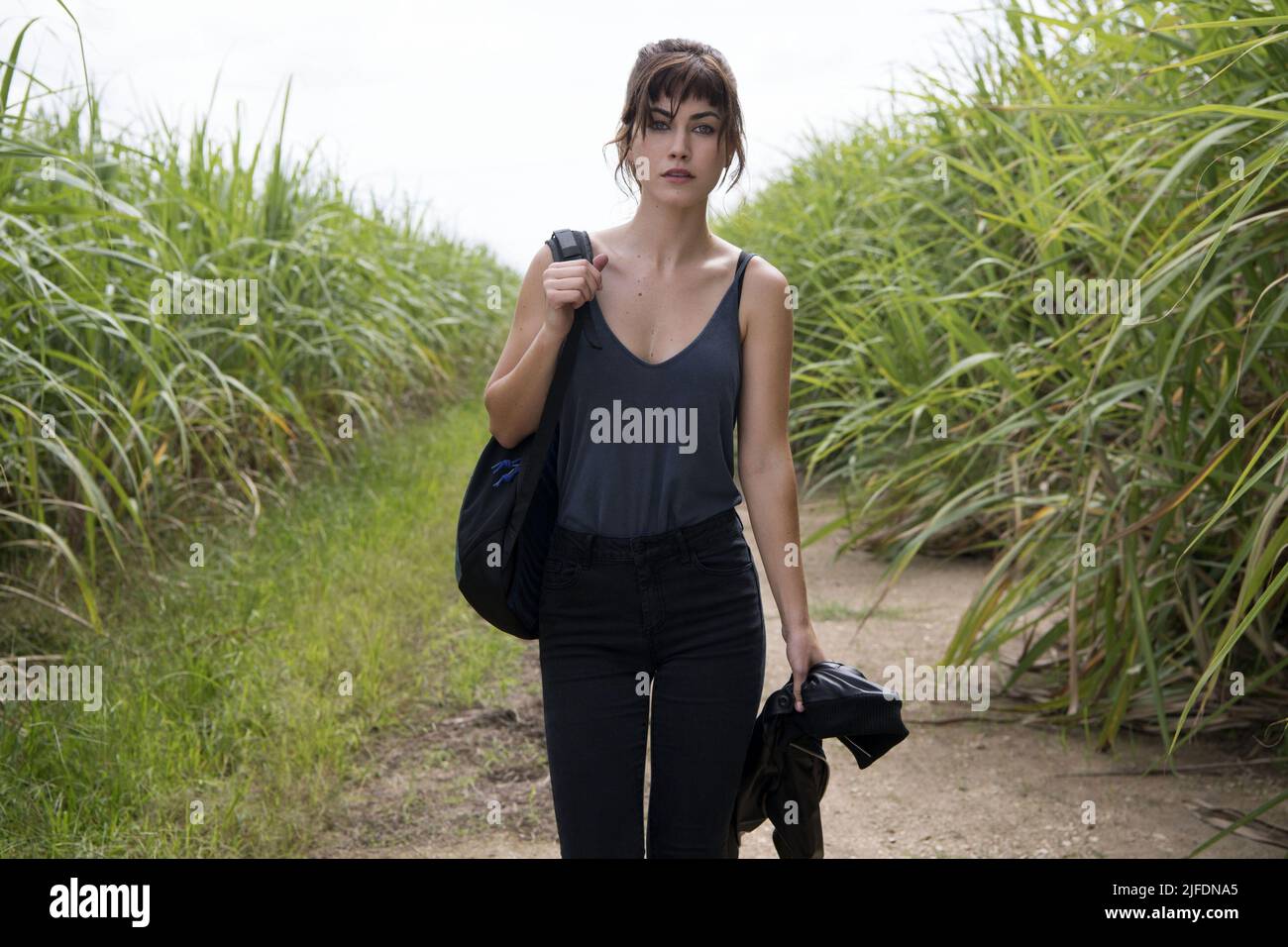 Daniel nettheim hi-res stock photography and images - Alamy