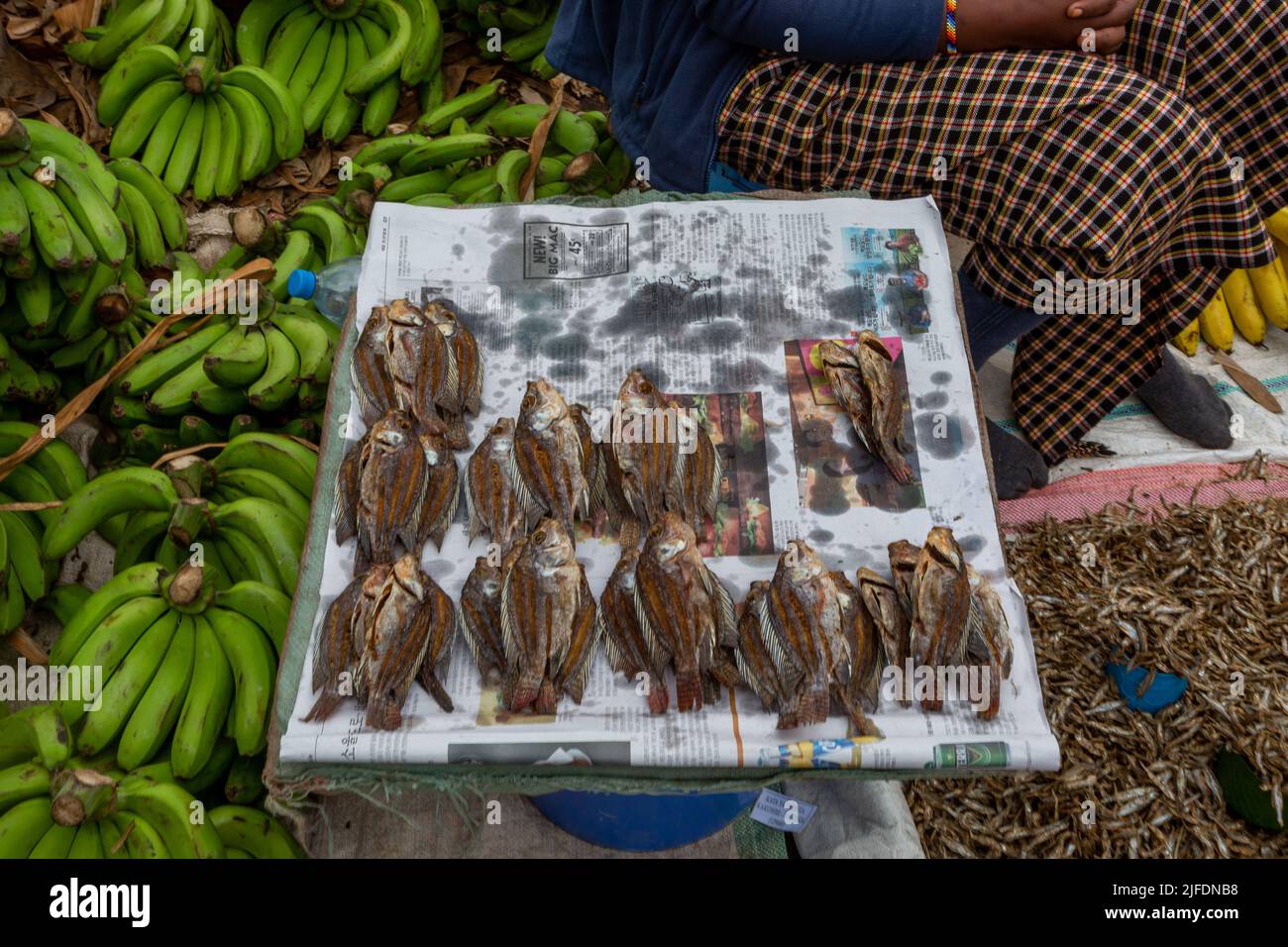 South african cod hi-res stock photography and images - Alamy