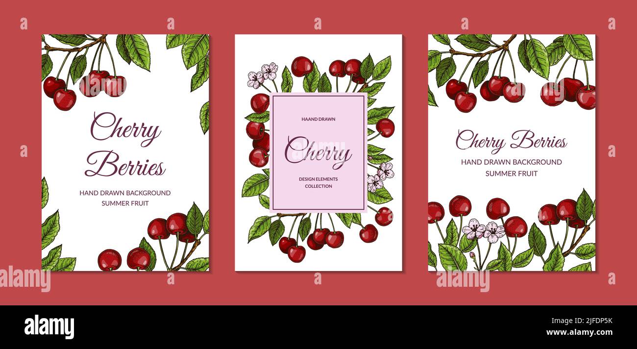 Set of colorful vertical cherry designs. Vector illustration in colored ...