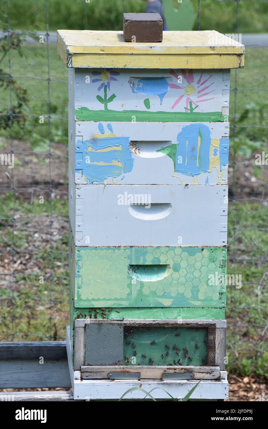 Beehive on an agricultural farm for pollination and honey Stock Photo ...