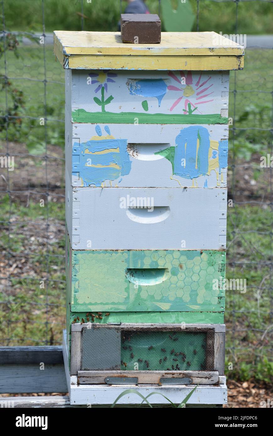 Hand painted farm beehive boxes in the summer for beekeeping Stock ...