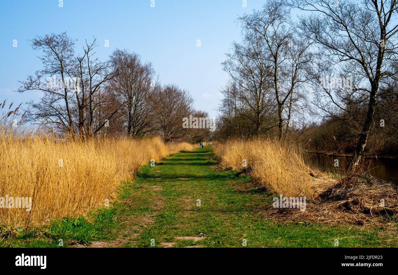 Beautiful path in marshlands hi-res stock photography and images - Alamy