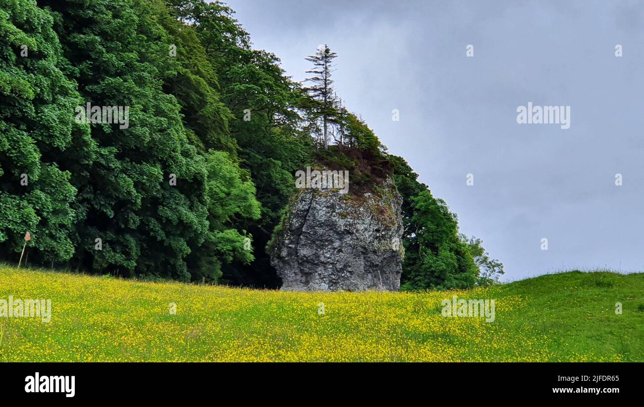 Fingal's Dogstone, Oban Stock Photo - Alamy