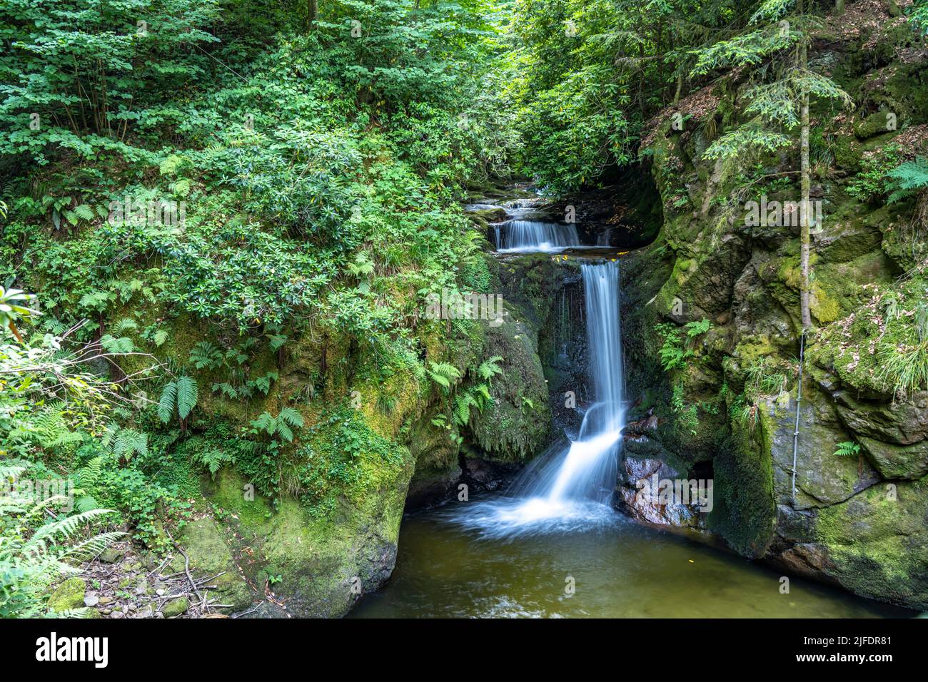 Schwarzwaldhochstrasse hi-res stock photography and images - Alamy