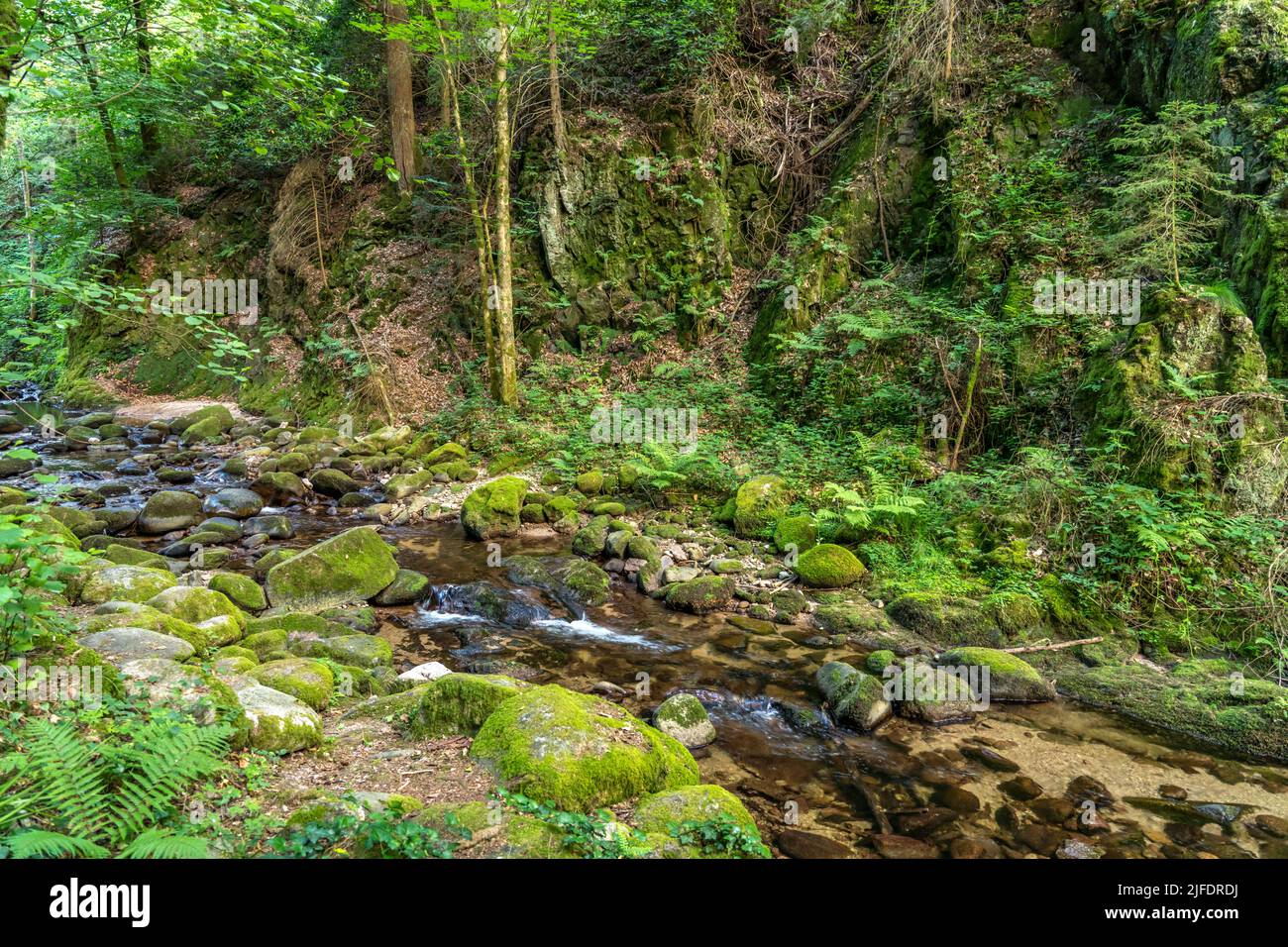 Im Bachtal des Grobbach am Geroldsauer Wasserfall-Rundweg, Geroldsau ...