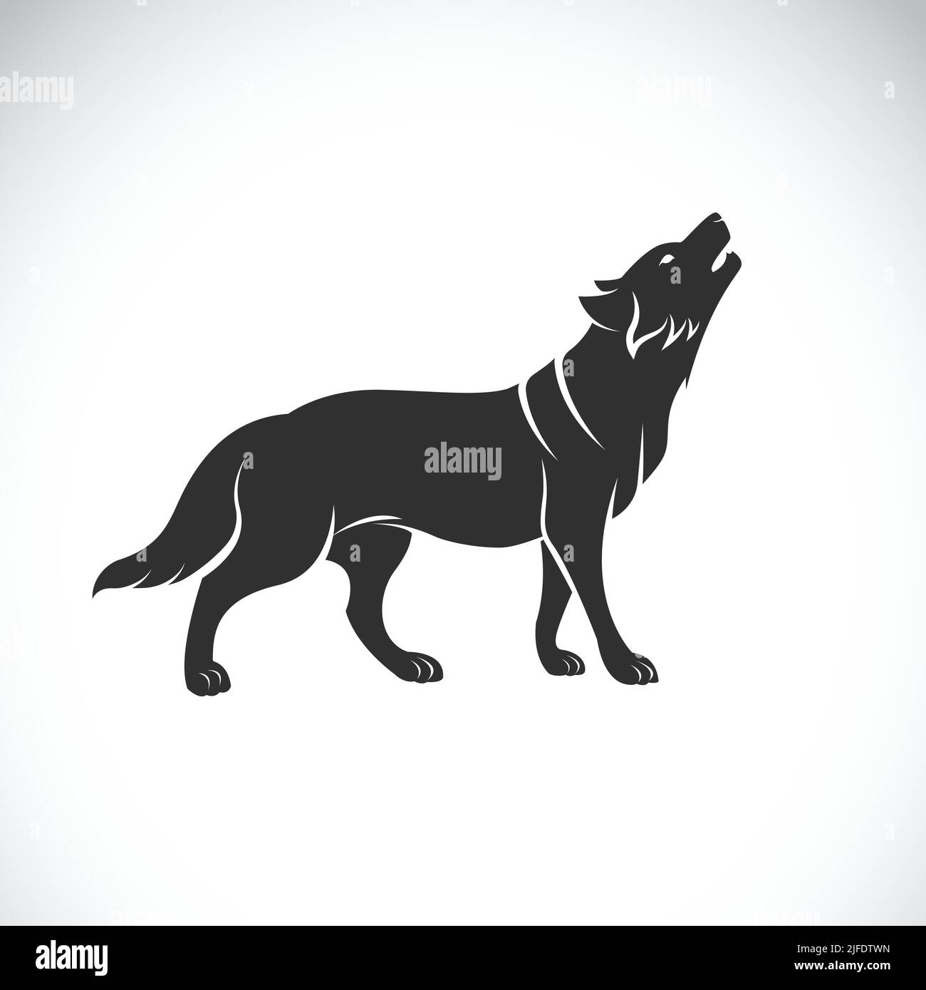 Vector of wolf on white background. Easy editable layered vector ...