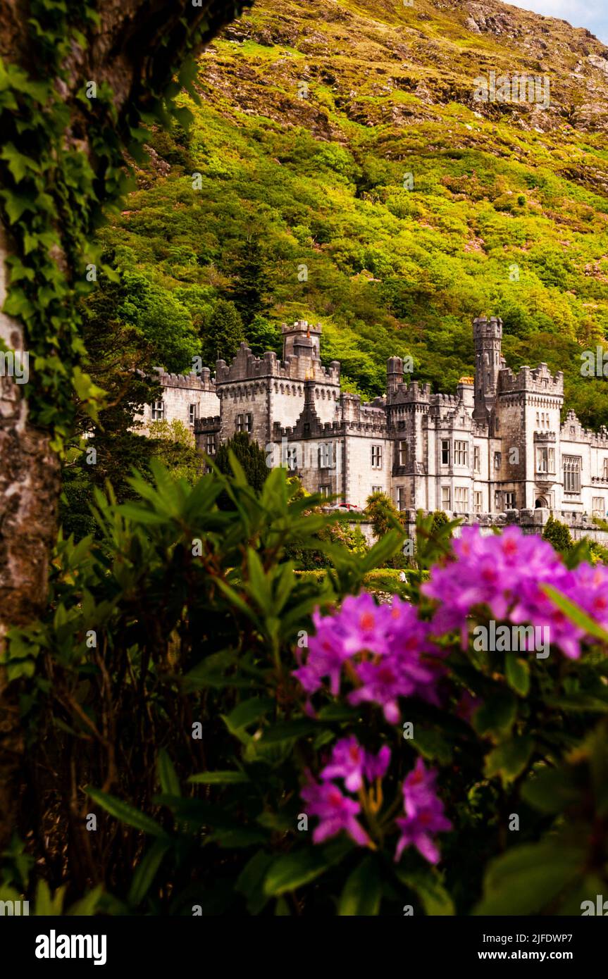 Gothic Castle of Kylemore Abbey in Connemara, Ireland Stock Photo - Alamy